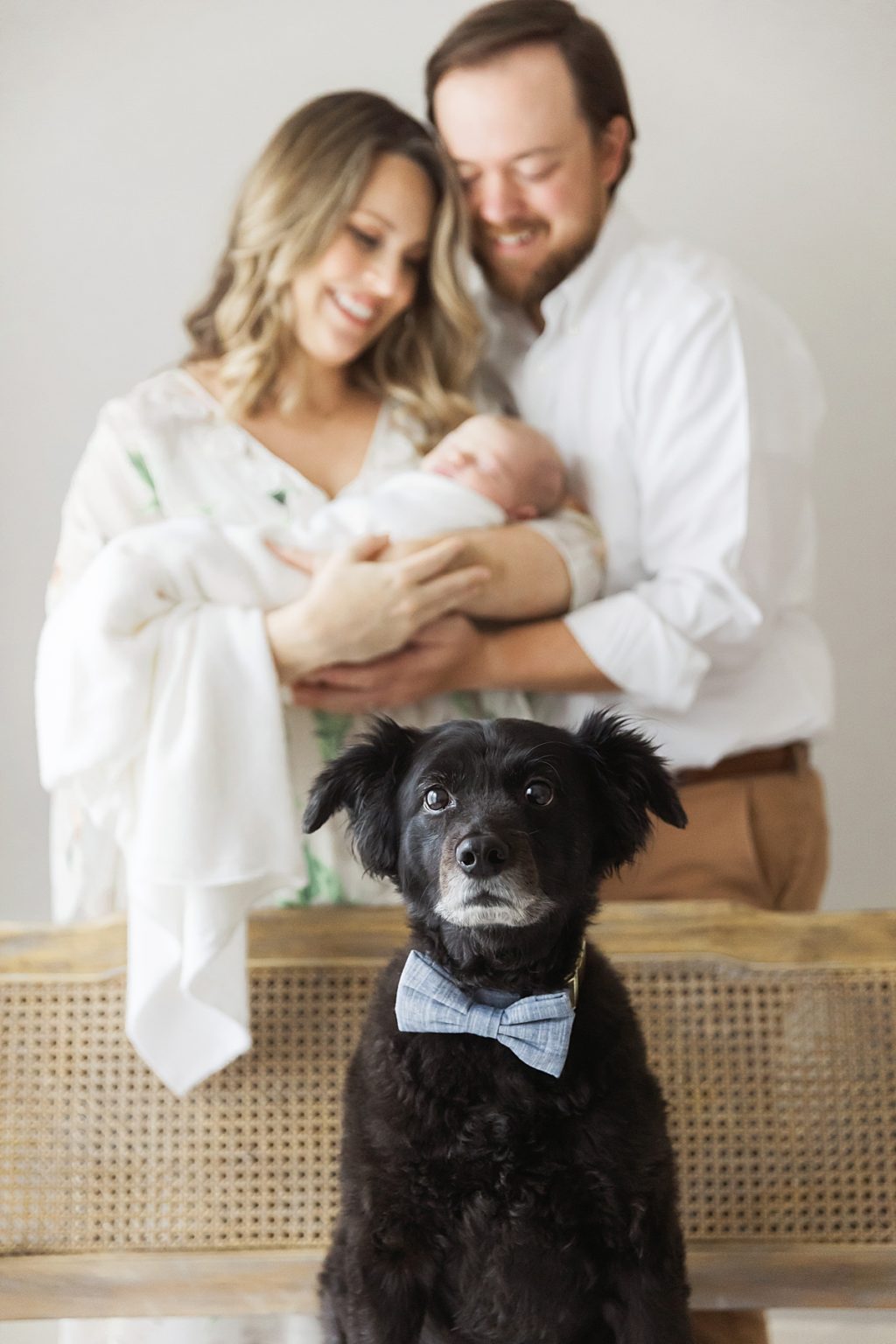 Max | Houston Baby Photographer - Fresh Light Photography